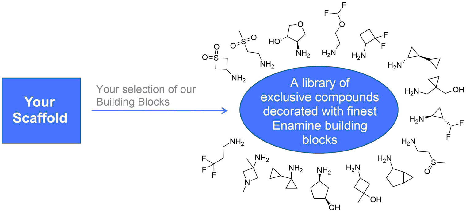 化合物库合成 - Enamine中国