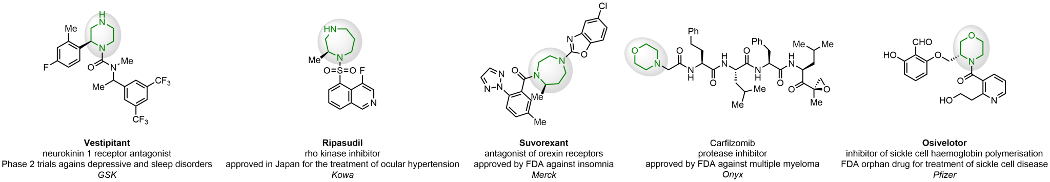 SnAP 试剂 - Enamine中国