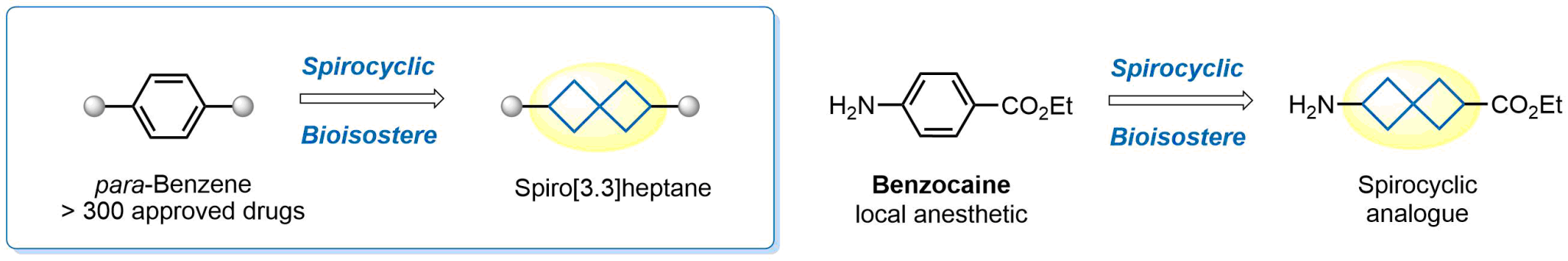 螺环苯生物电子等排体 - Enamine中国