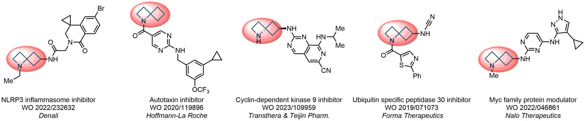 螺环哌啶生物电子等排体 - Enamine-简赞