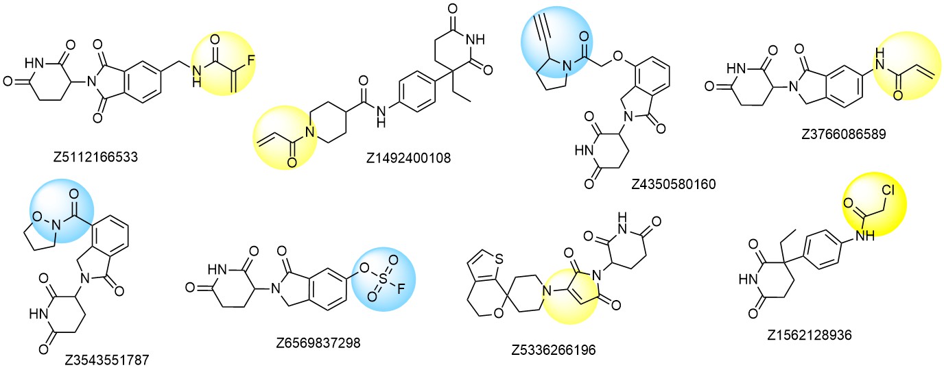 Cereblon 配体和功能化中间体 - Enamine中国