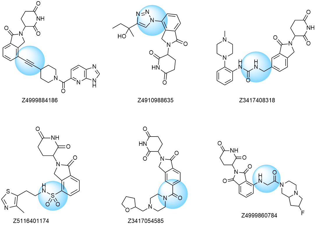 Cereblon 配体和功能化中间体 - Enamine-简赞
