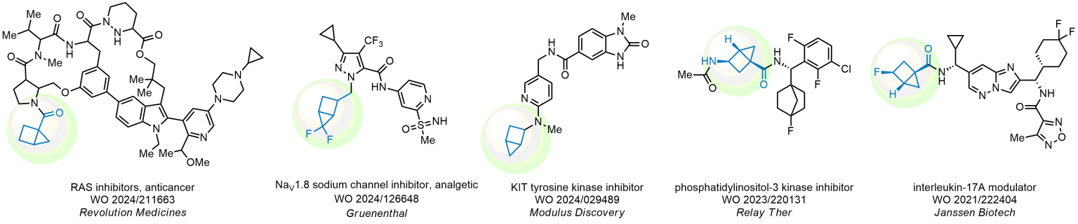 房烷 - Enamine中国