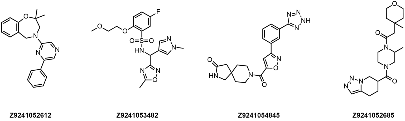 靶向 HECT E3 连接酶文库 - Enamine中国
