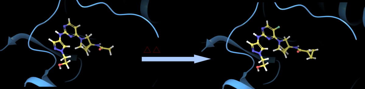 CADD - Enamine中国